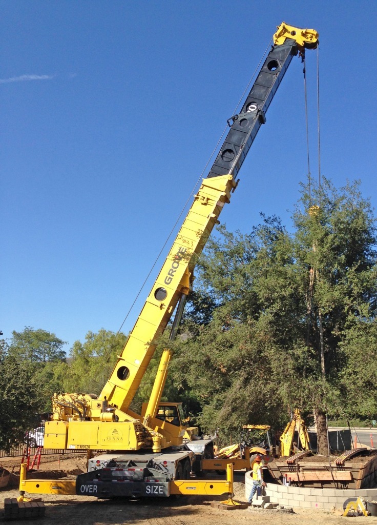 Grove TM9120 120-Ton Telescopic Boom Truck Crane For Sale Hoists ...