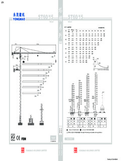 Hammerhead Yongmao ST60/15 Specifications CraneMarket